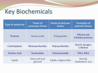 Chemistry of life | PPT
