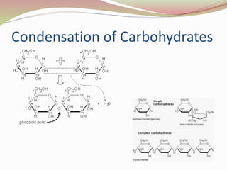 Chemistry of life | PPT