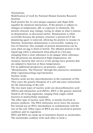 Chemistry of Life Biological MoleculesBiological Molecules.docx