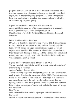 Chemistry of Life Biological MoleculesBiological Molecules.docx