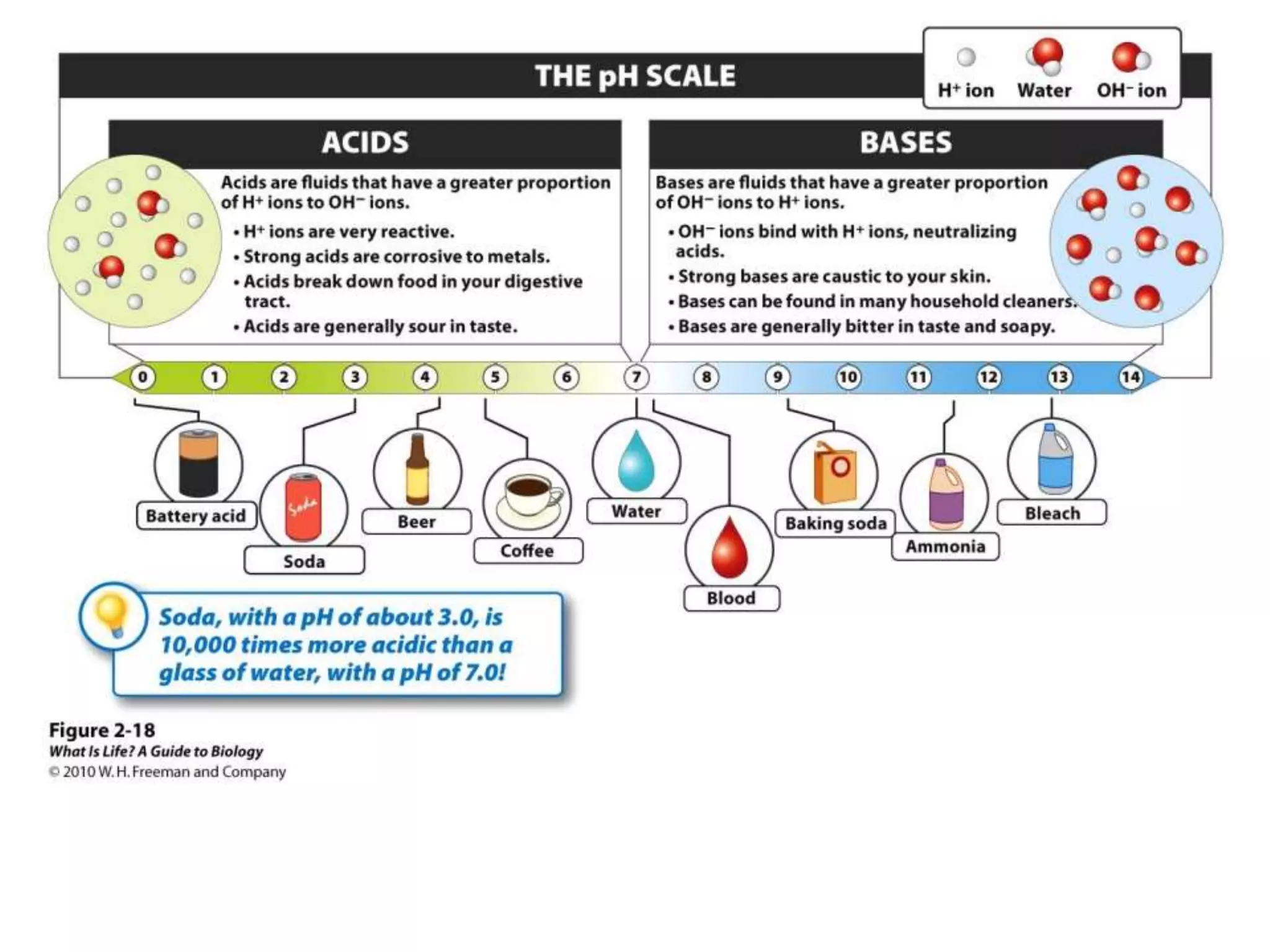 Chemistry of life Water and pH | PPTX