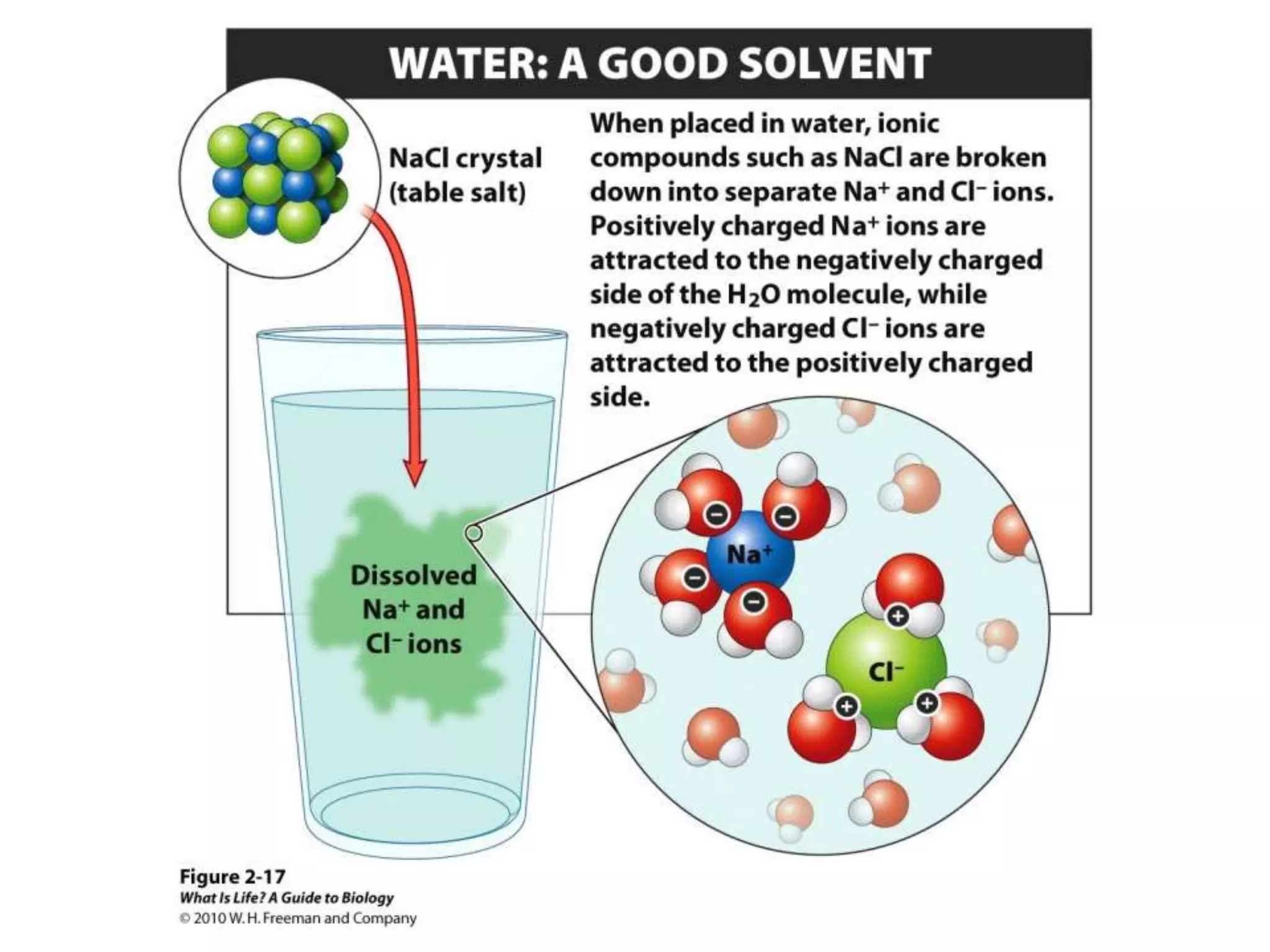 Chemistry of life Water and pH | PPTX