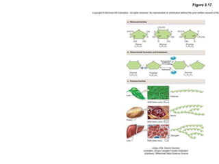 Chemistry of life macromolecules | PPTX