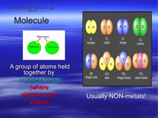 Chemistry of life powerpoint | PPT
