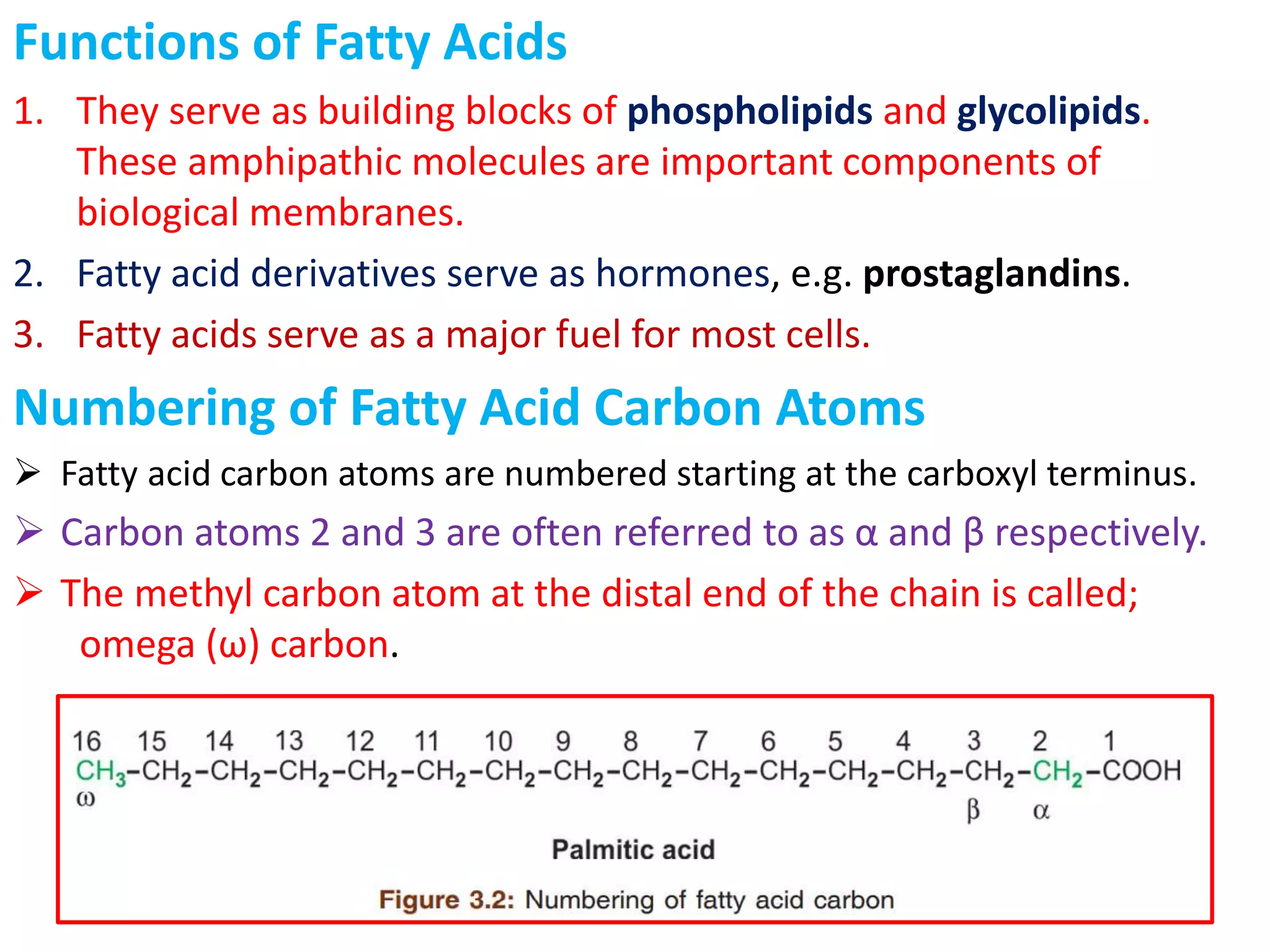 Chemistry of Lipid | PPTX