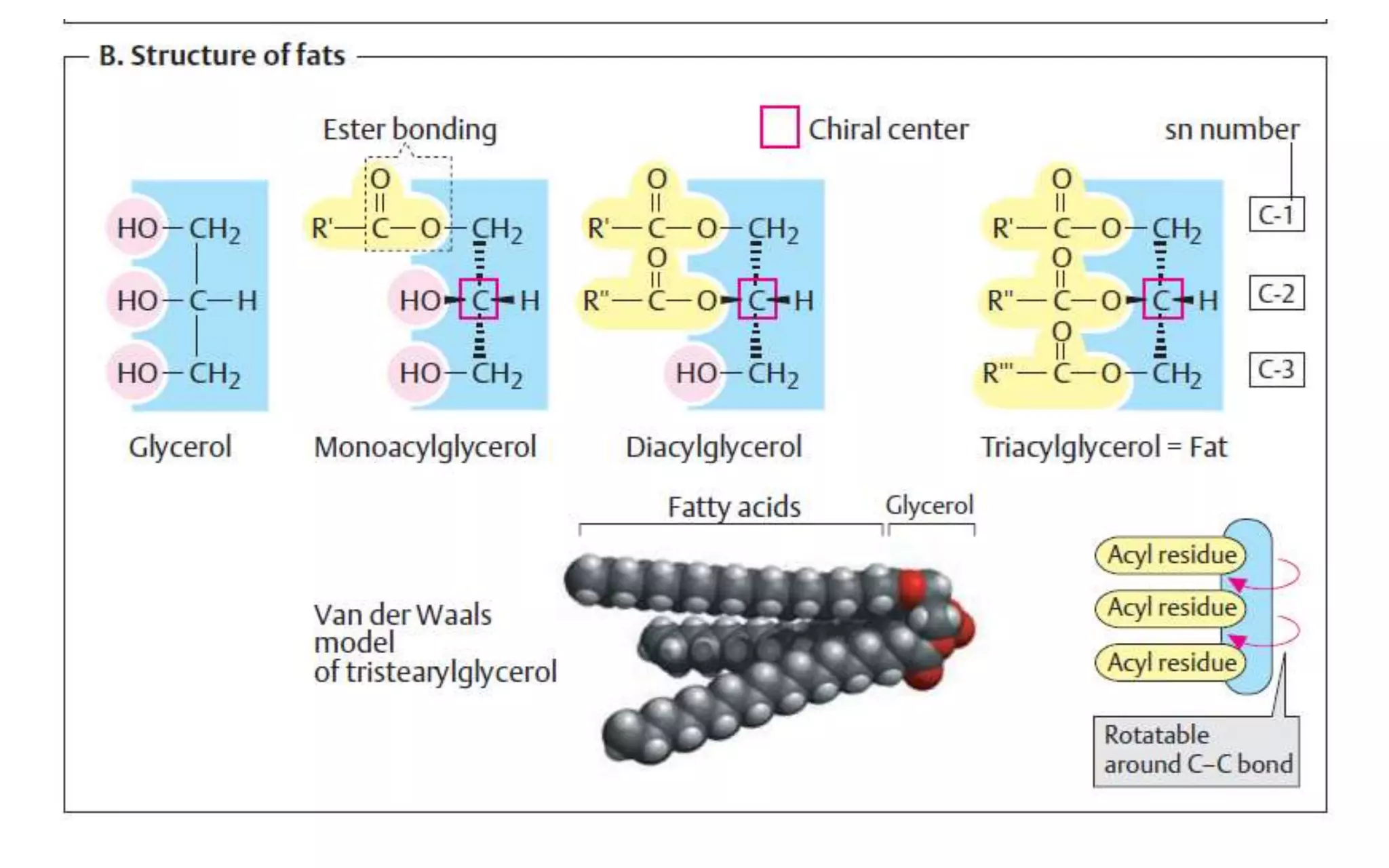 Chemistry of lipid 2 _ Classification of Lipids.pptx