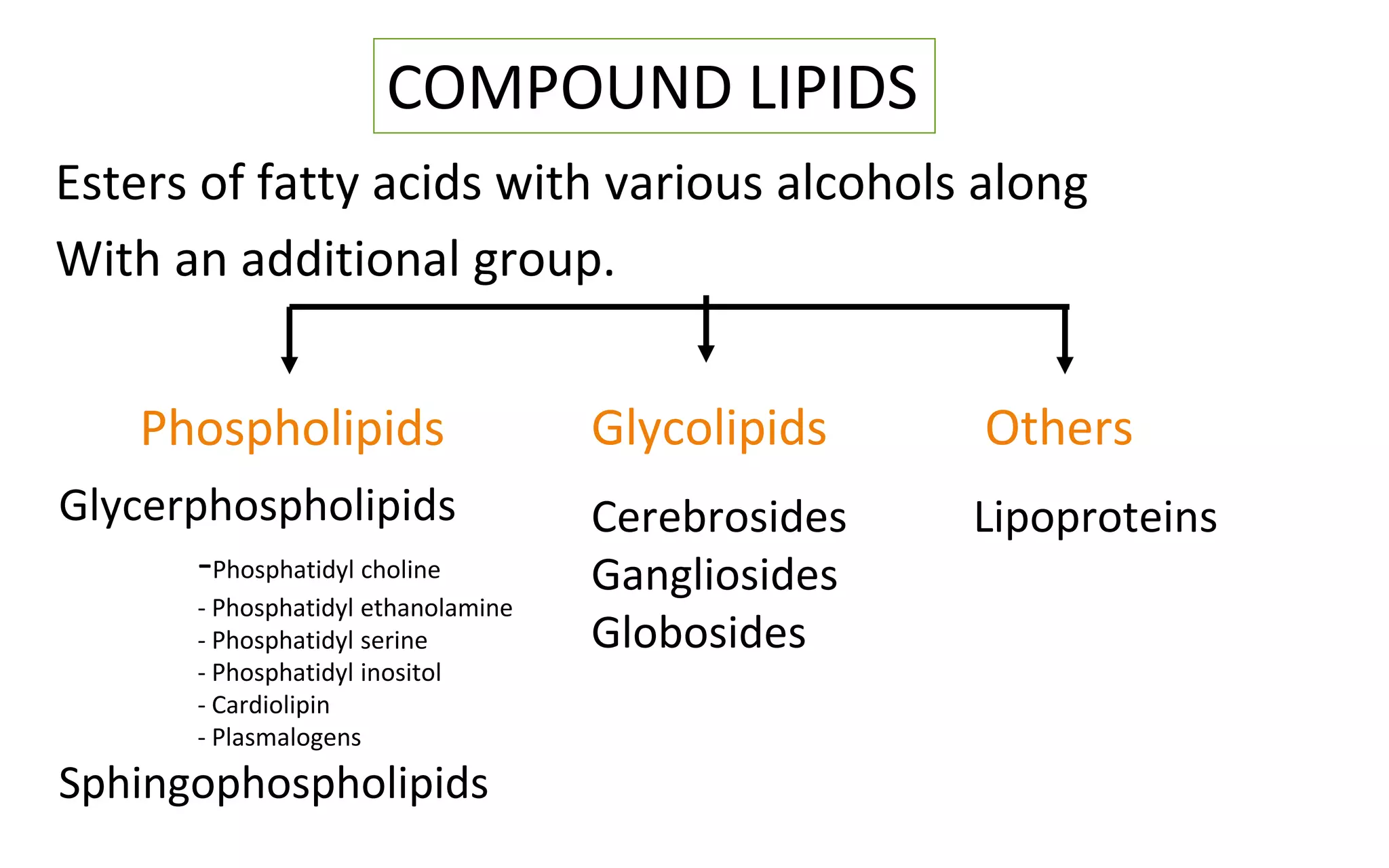 Chemistry of lipid 2 _ Classification of Lipids.pptx