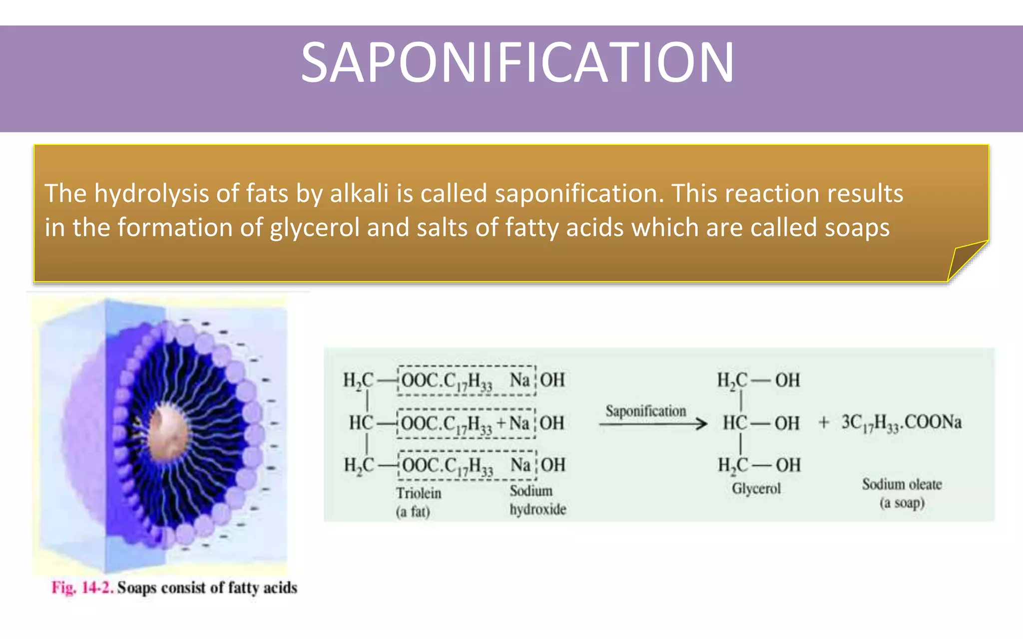 Chemistry of lipid 2 _ Classification of Lipids.pptx