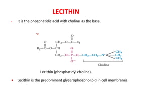 Chemistry of lipid 2 _ Classification of Lipids.pptx