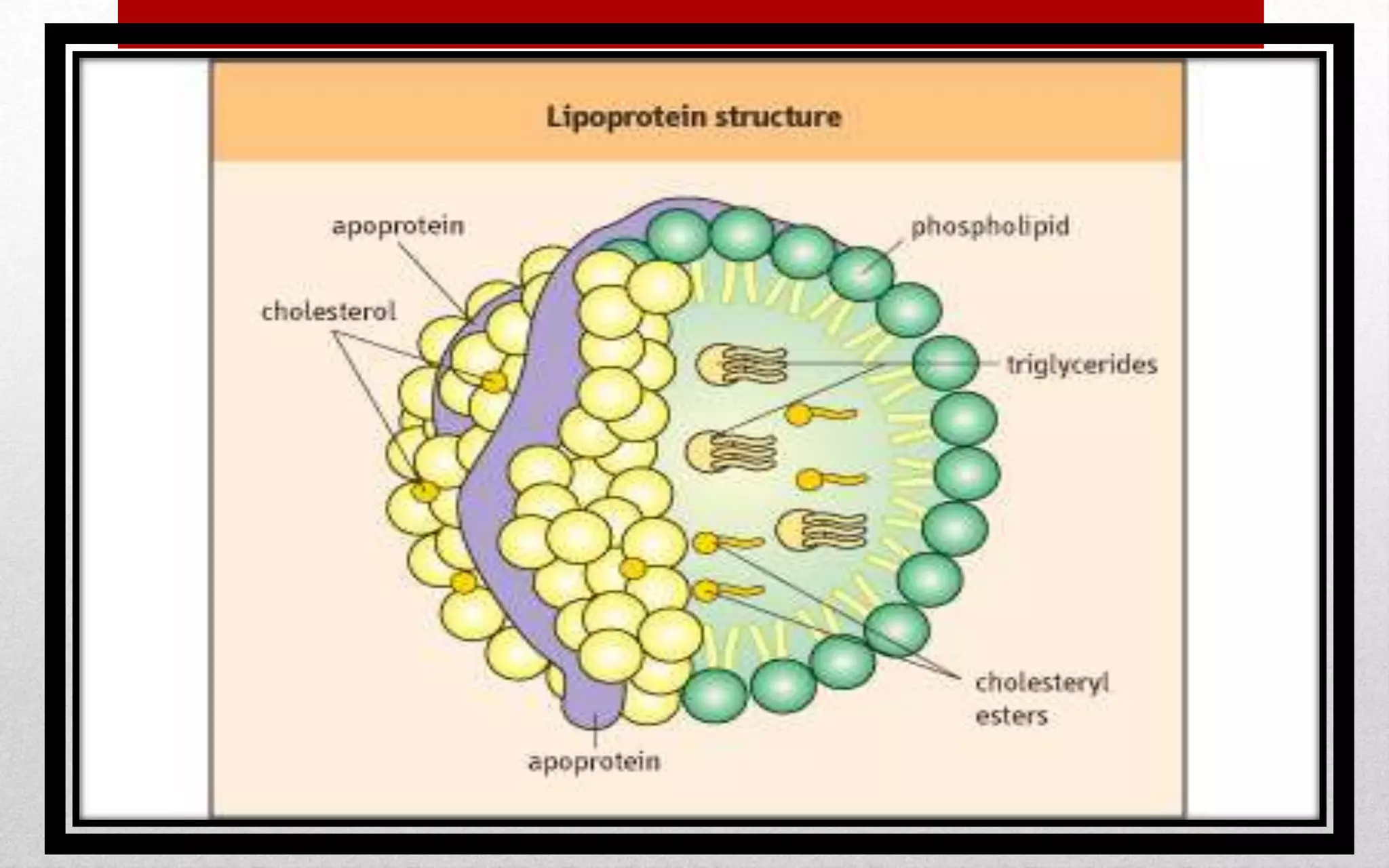 Chemistry of lipid 3 _lipoprotein chemistry and prostaglandins.pptx