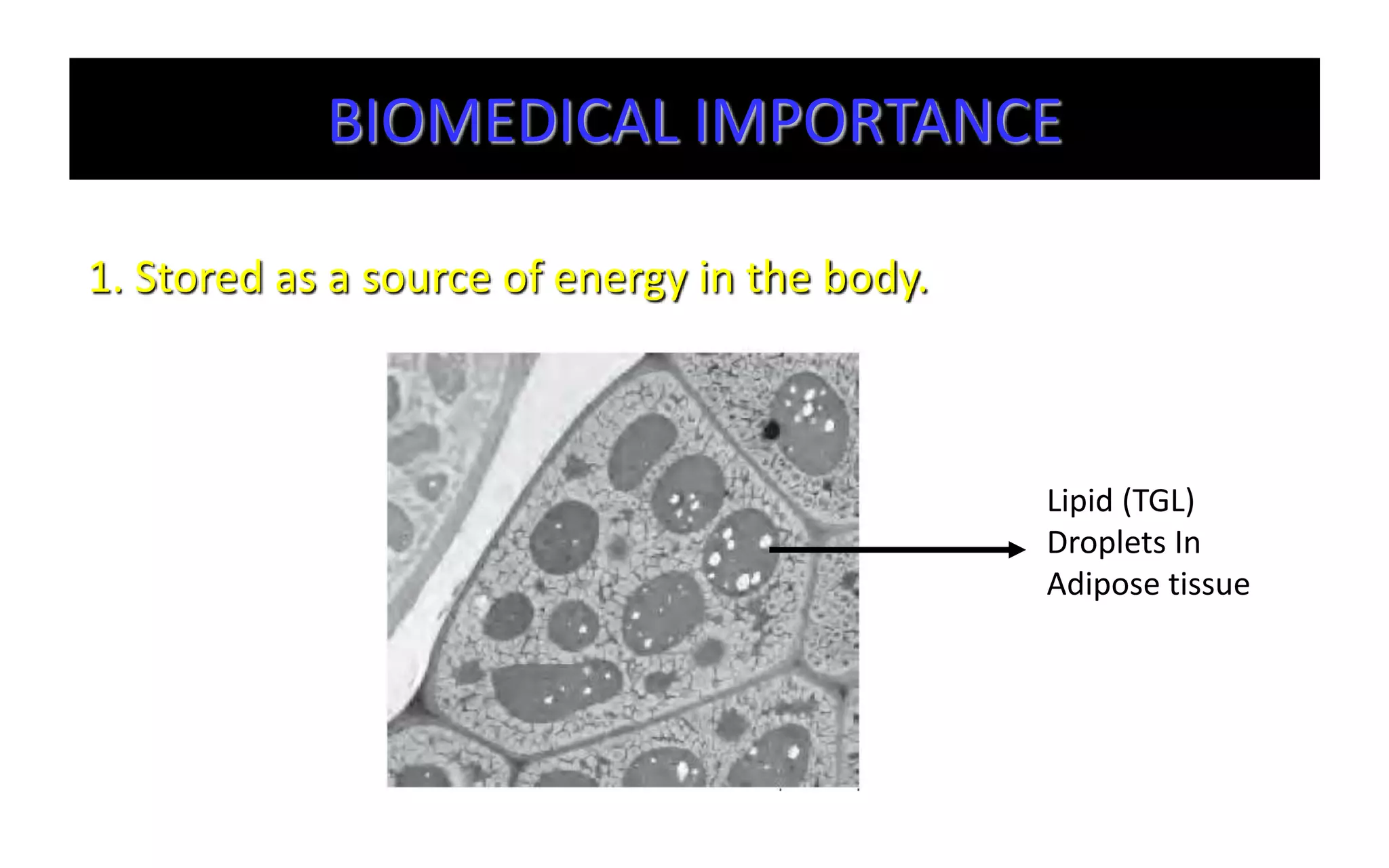 Chemistry of lipid _FATTY ACID NOMENCLATURE AND CLASSIFICATION.pptx