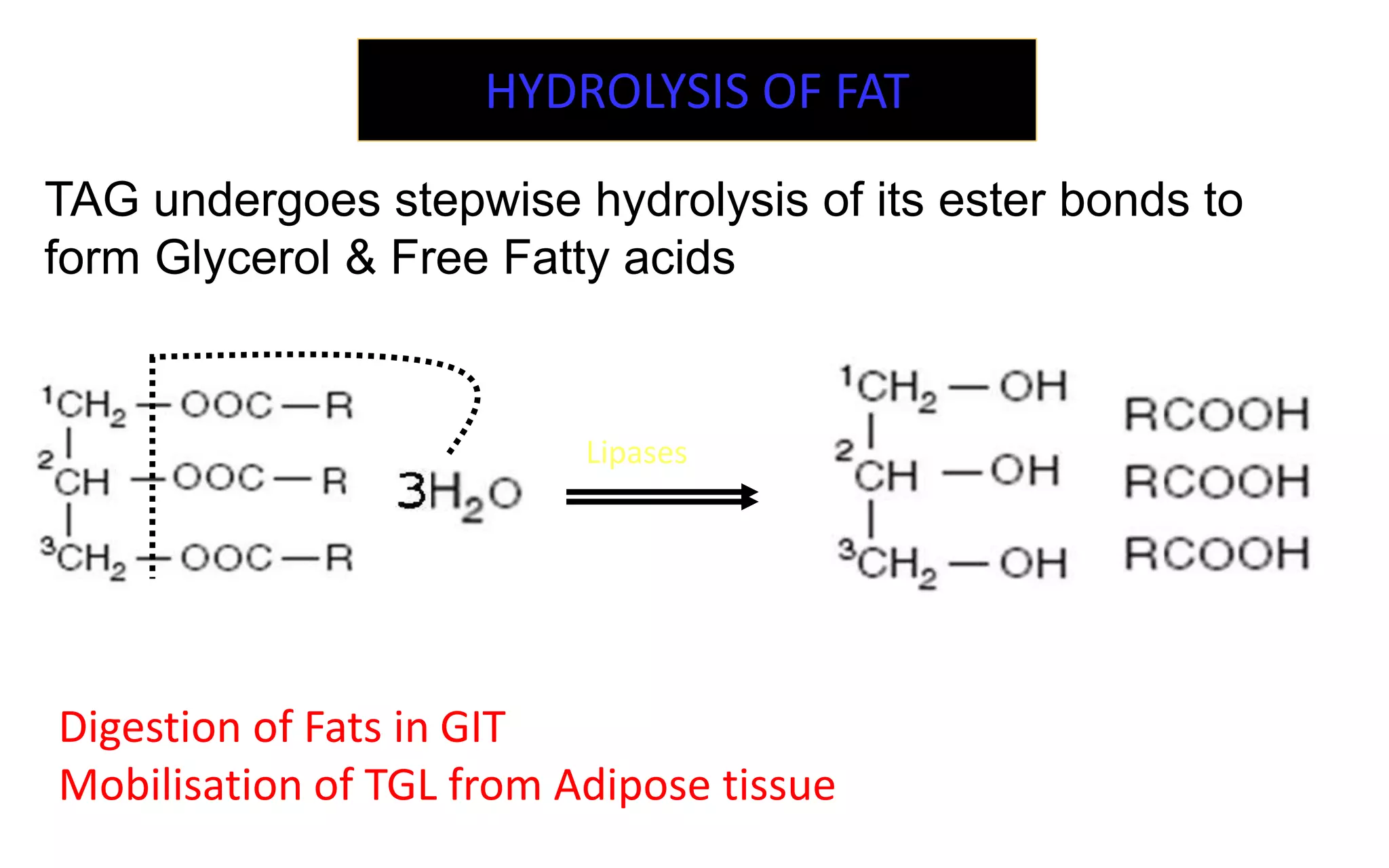 Chemistry of lipid _FATTY ACID NOMENCLATURE AND CLASSIFICATION.pptx