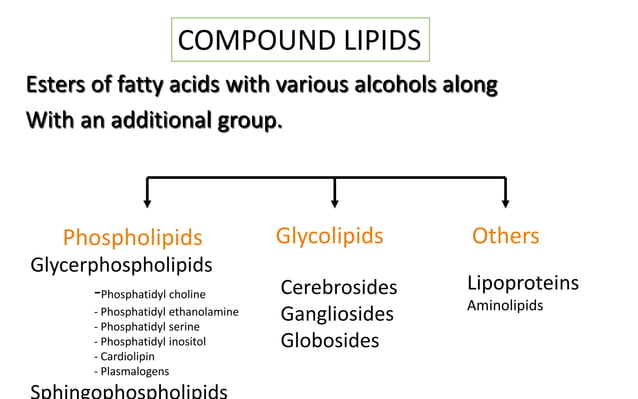 Chemistry of lipid _FATTY ACID NOMENCLATURE AND CLASSIFICATION.pptx