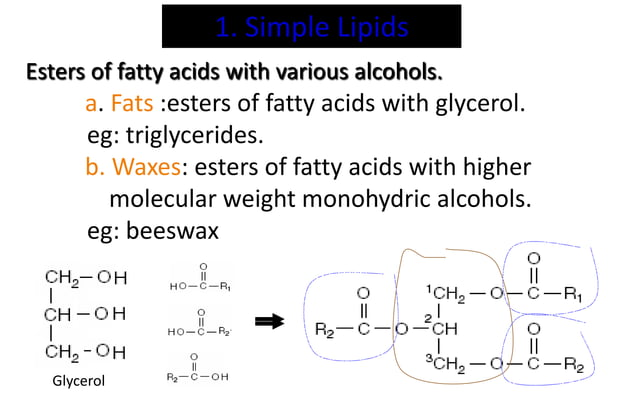 Chemistry of lipid _FATTY ACID NOMENCLATURE AND CLASSIFICATION.pptx