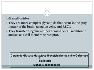 Chemistry of lipids | PPTX