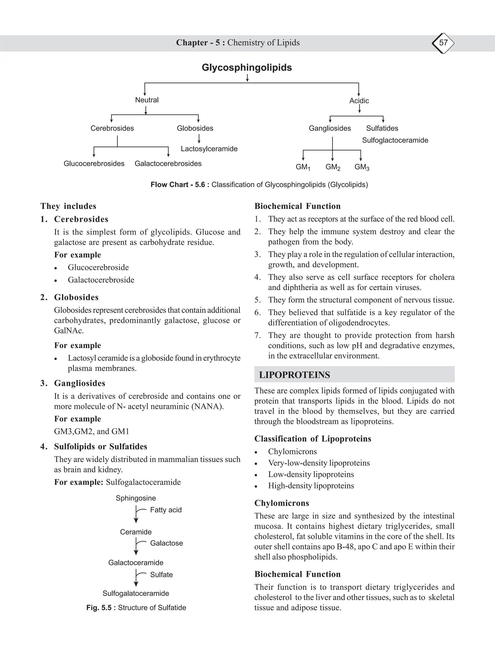 Jepri's Medical Chemistry of Lipids Chapter.pdf