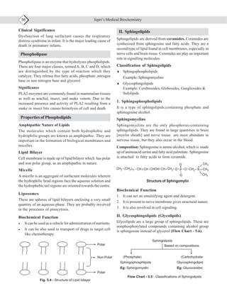 Jepri's Medical Chemistry of Lipids Chapter.pdf