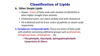lipids catabolism and anabolism biochemistry.pptx