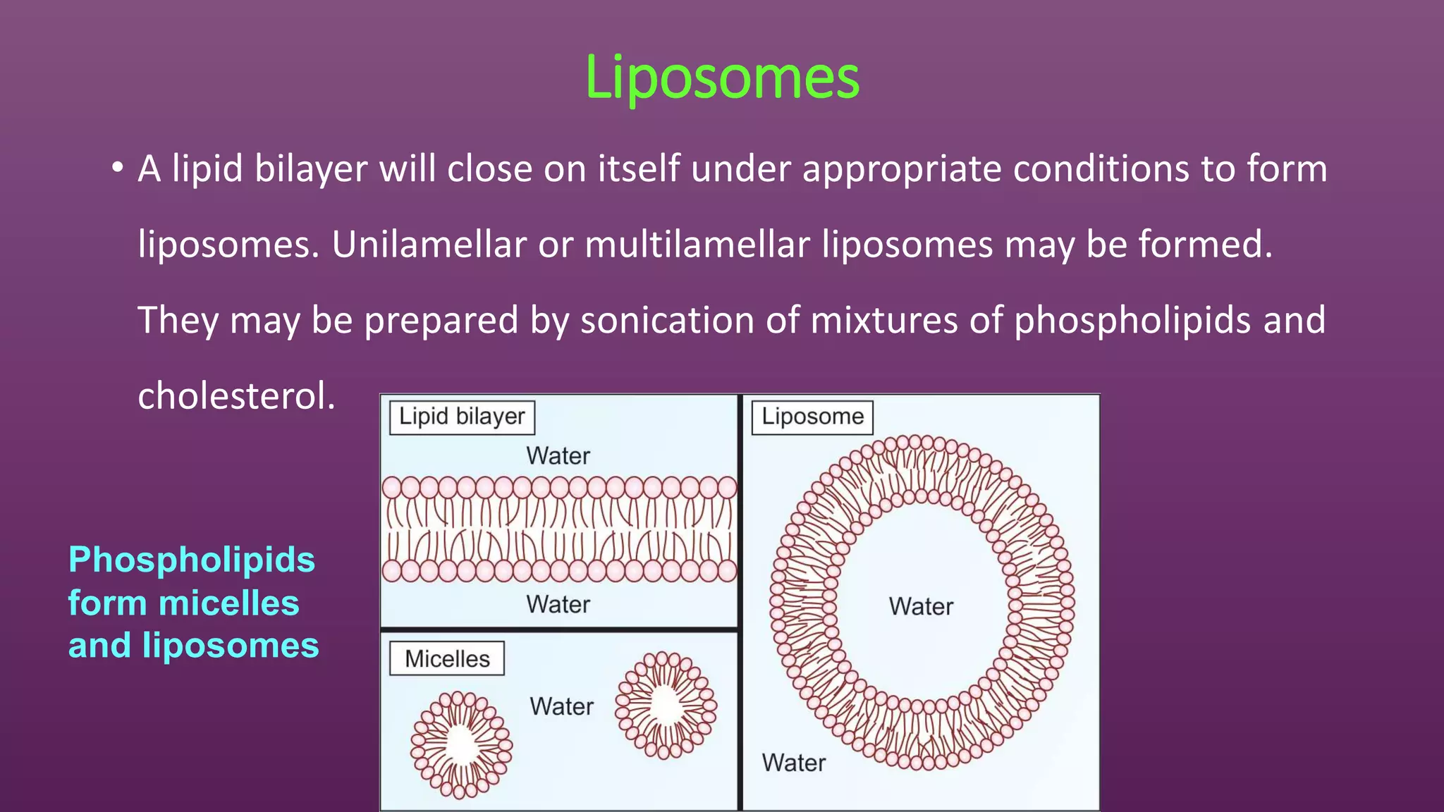 Chemistry of lipids phospholipids | PPTX
