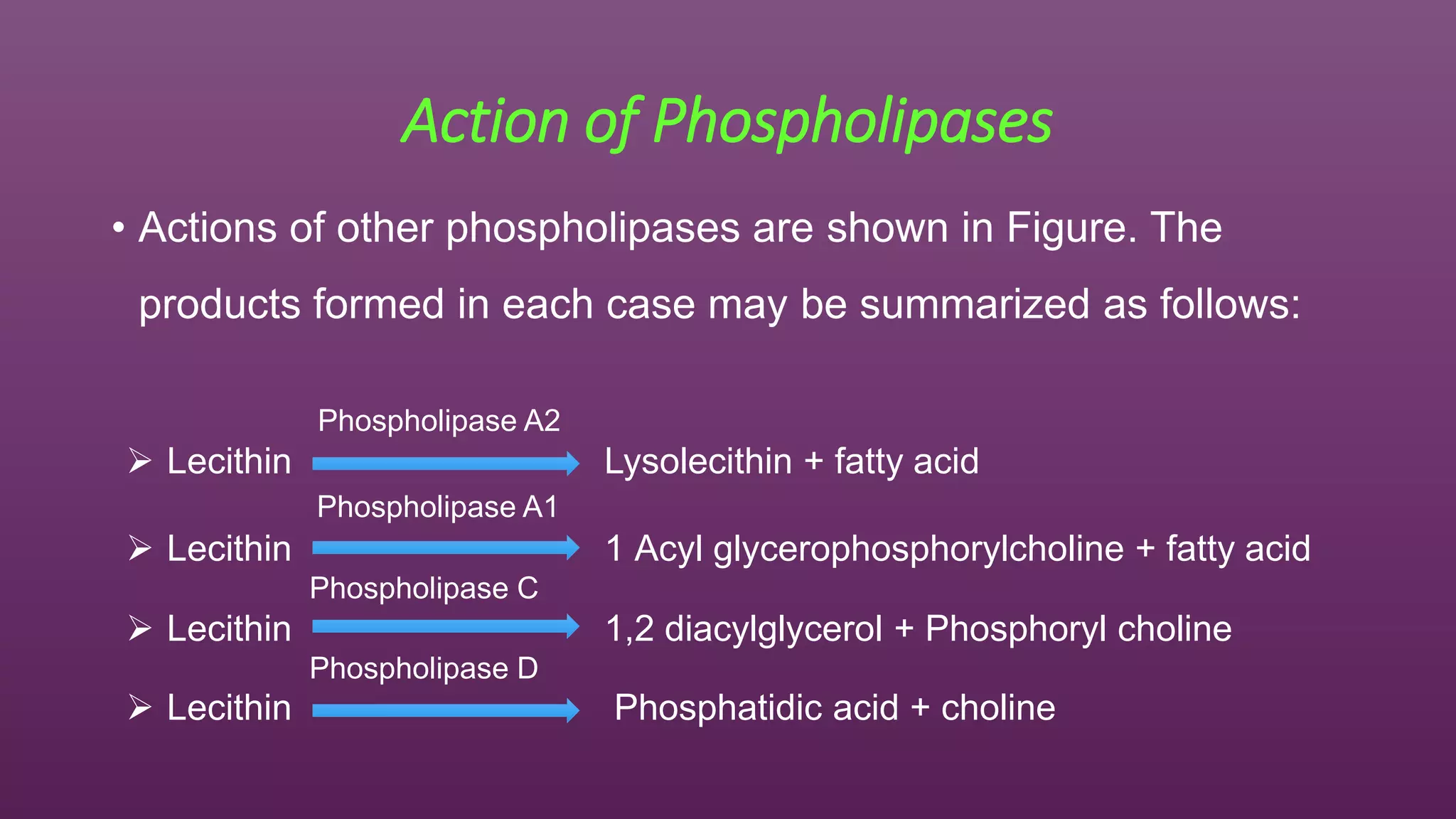 Chemistry of lipids phospholipids | PPTX