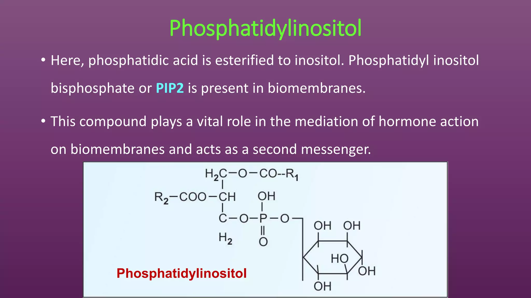 Chemistry of lipids phospholipids | PPTX