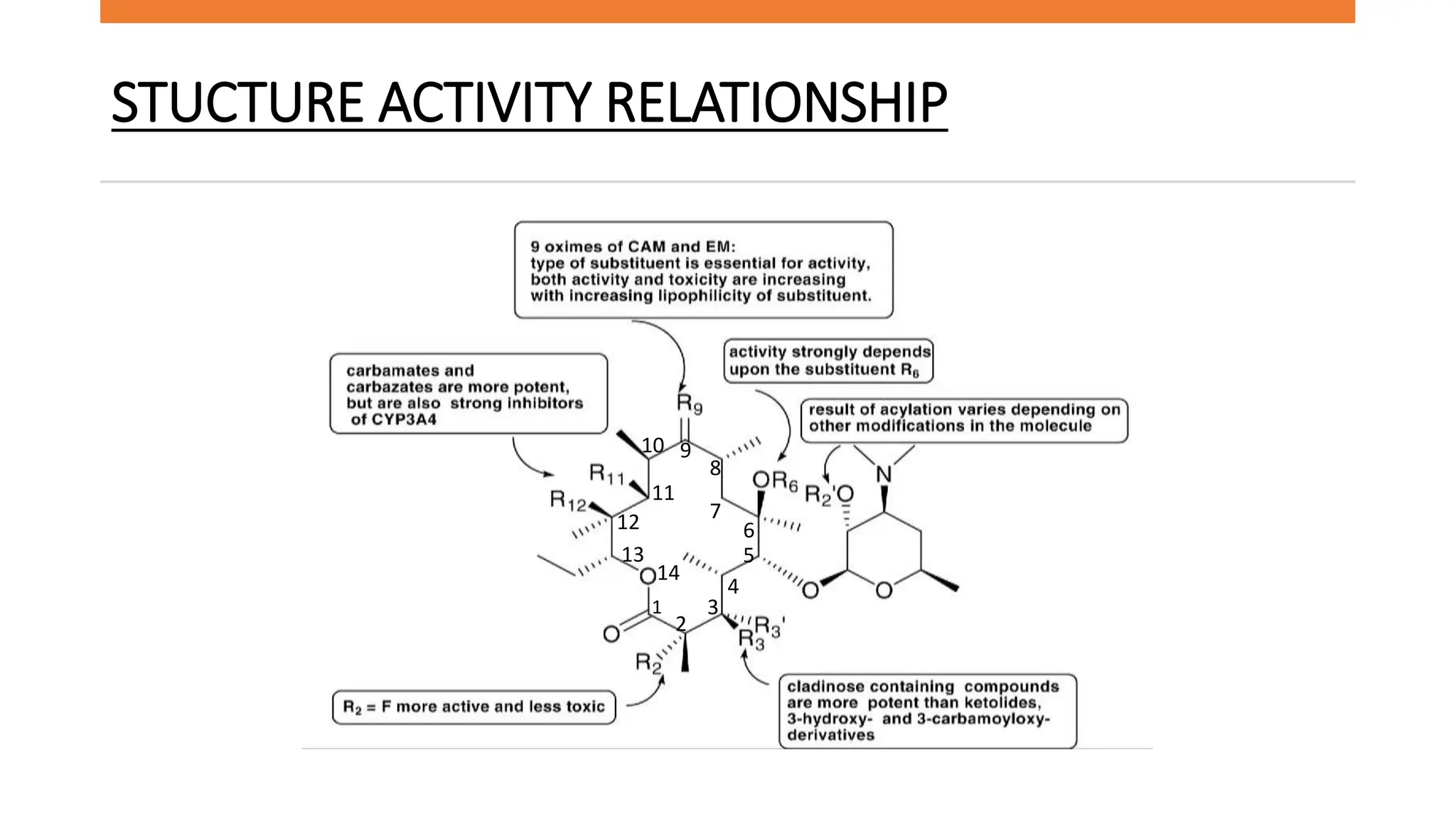 Chemistry of macrolide antibiotics M Pharm Pharmaceutical Chemistry .pptx