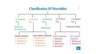 Chemistry of macrolide antibiotics M Pharm Pharmaceutical Chemistry .pptx