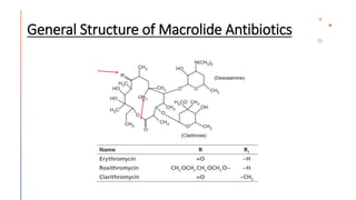 Chemistry of macrolide antibiotics M Pharm Pharmaceutical Chemistry .pptx
