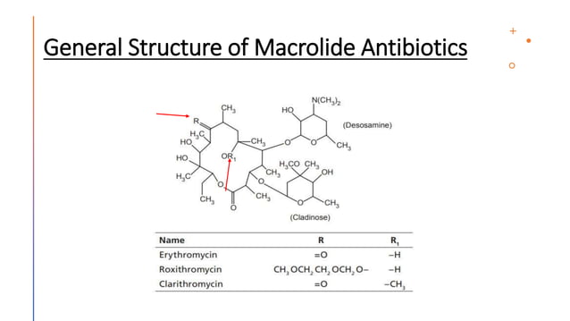Chemistry of macrolide antibiotics M Pharm Pharmaceutical Chemistry .pptx