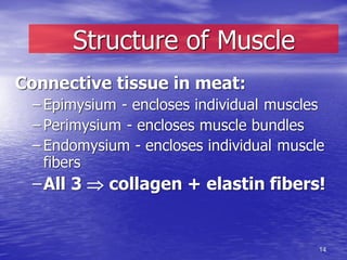Chemistry of muscle meat.pdf