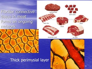 Chemistry of muscle meat.pdf