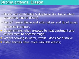 Chemistry of muscle meat.pdf