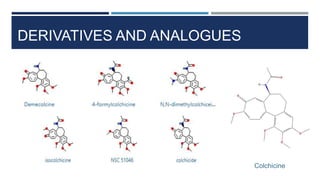 Chemistry of natural products | PPTX