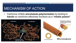 Chemistry of natural products | PPTX