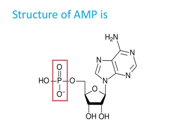 Chemistry of nucleic acid