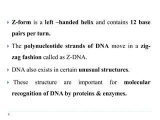 Chemistry of nucleic acids | PPTX