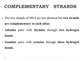 Chemistry of nucleic acids | PPTX