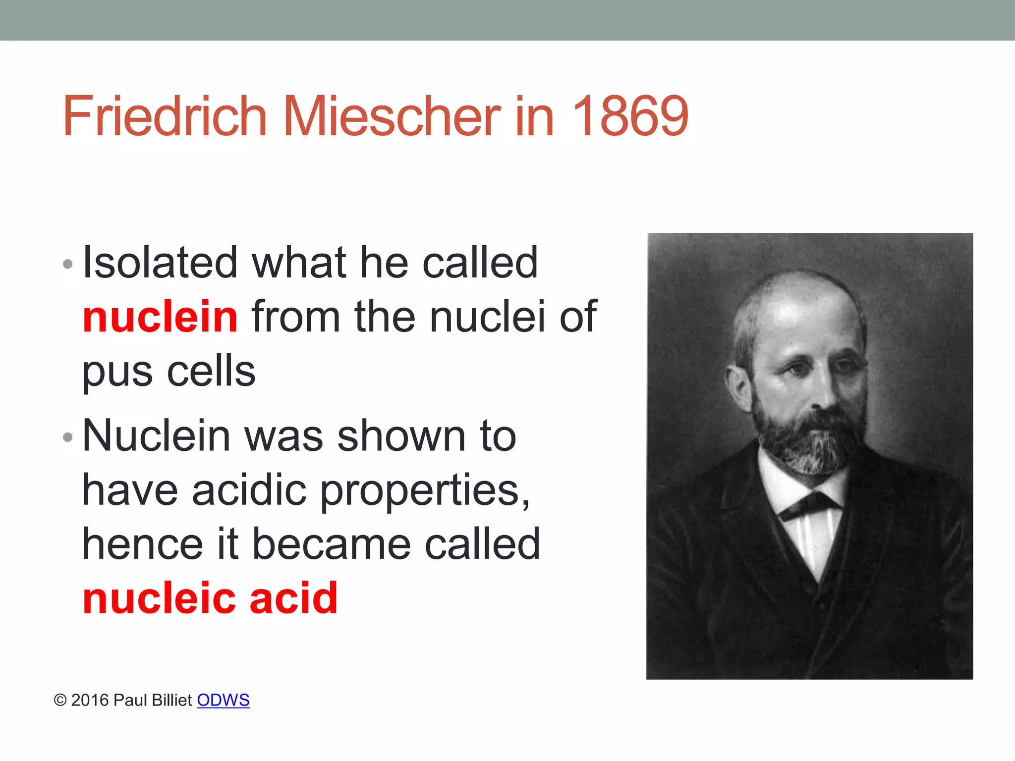 Chemistry of nucleic acids | PPT