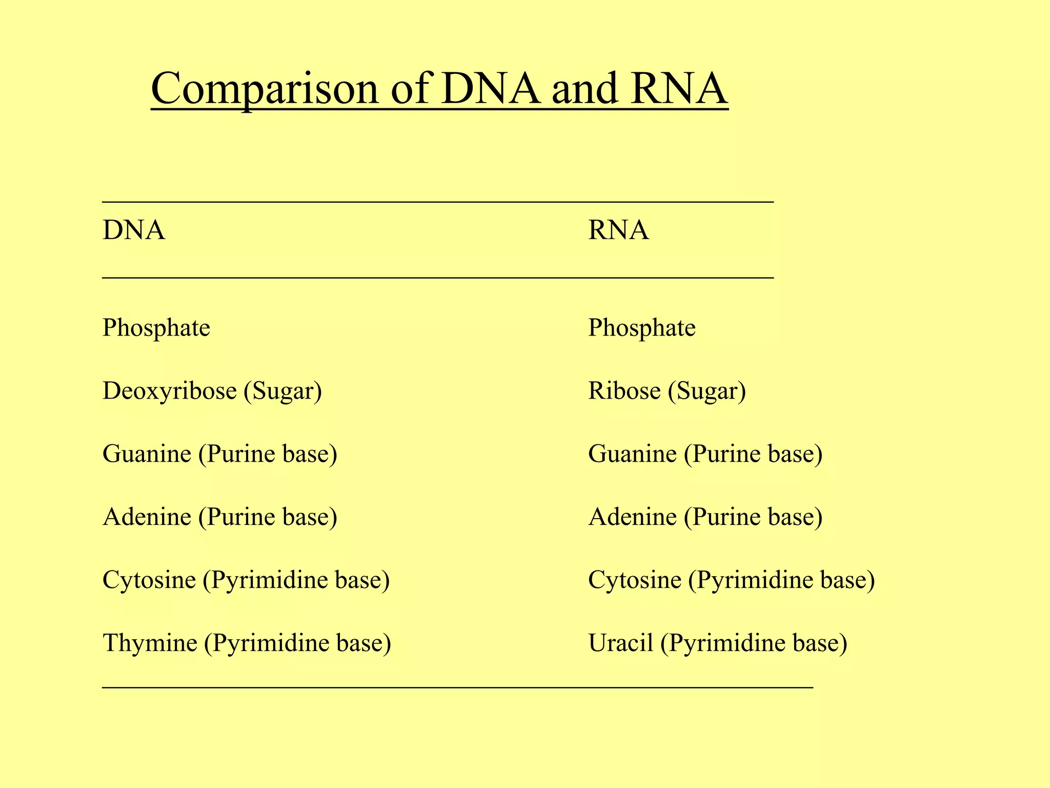 Chemistry of Nucleic Acids.ppt | Chemistry | Science