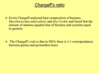 Chemistry of Nucleic Acids.ppt | Chemistry | Science