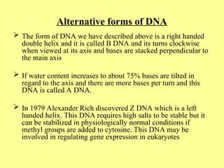 Chemistry of Nucleic Acids moelcules presentation | PPT | Chemistry ...