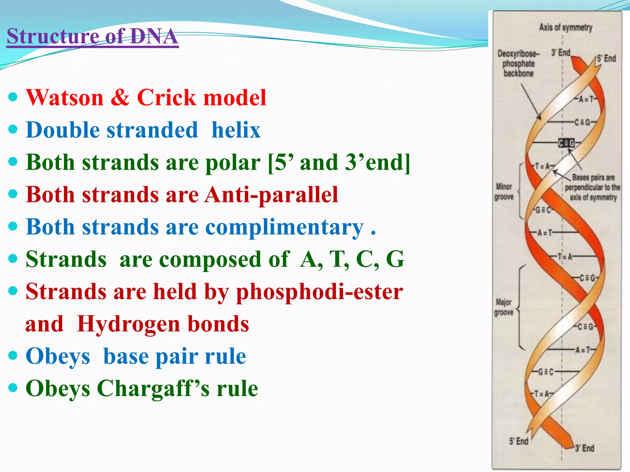 Chemistry of nucleoproteins | PPT