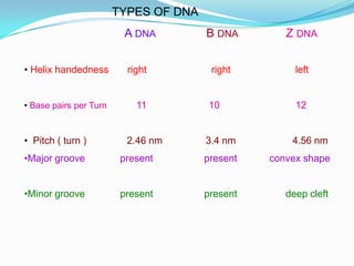 Chemistry of nucleoproteins | PPT