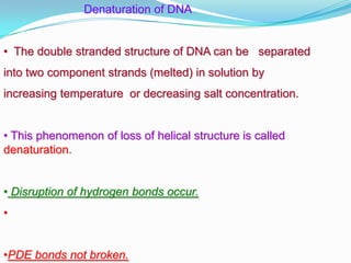 Chemistry of nucleoproteins | PPT