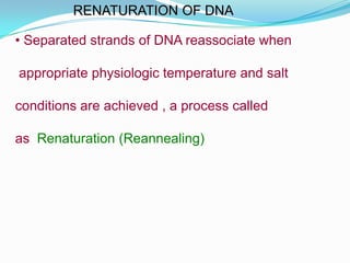 Chemistry of nucleoproteins | PPT