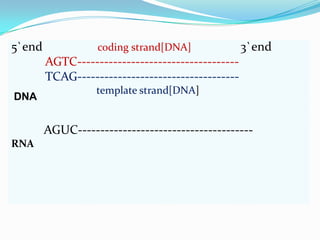 Chemistry of nucleoproteins | PPT