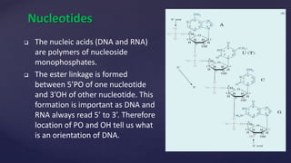 Chemistry of nucleotides | PPT