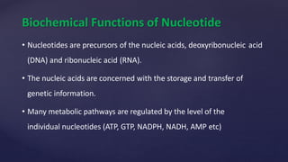 Chemistry of nucleotides | PPT