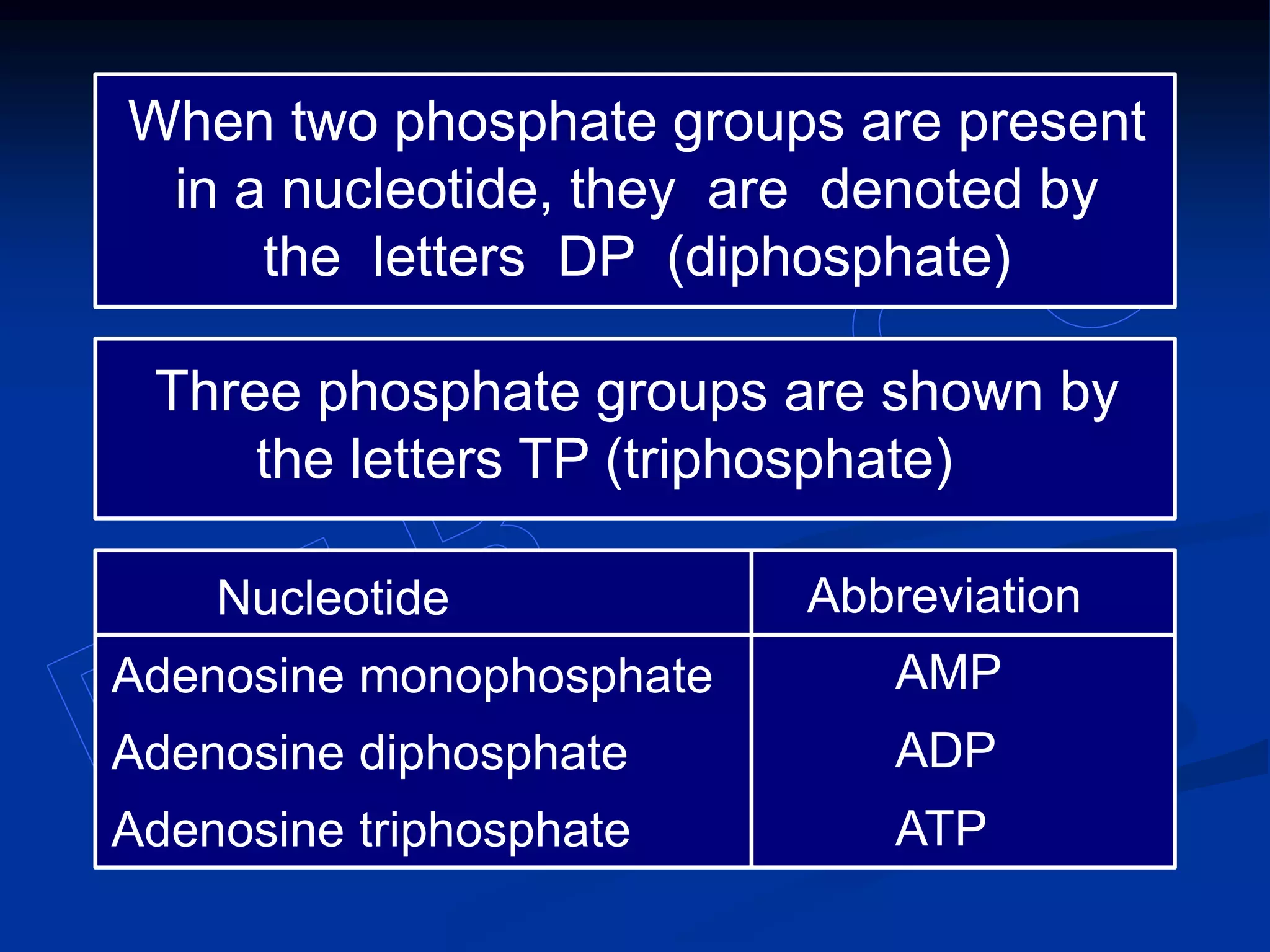 Chemistry of nucleotides | PPTX