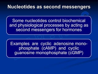 Chemistry of nucleotides | PPTX